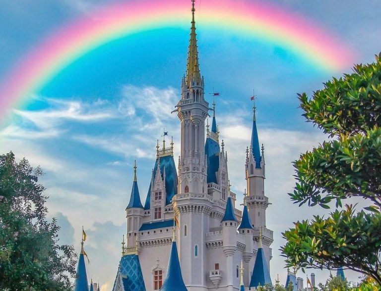 Disney and the Representation of Cultural Diversity : Never Apart