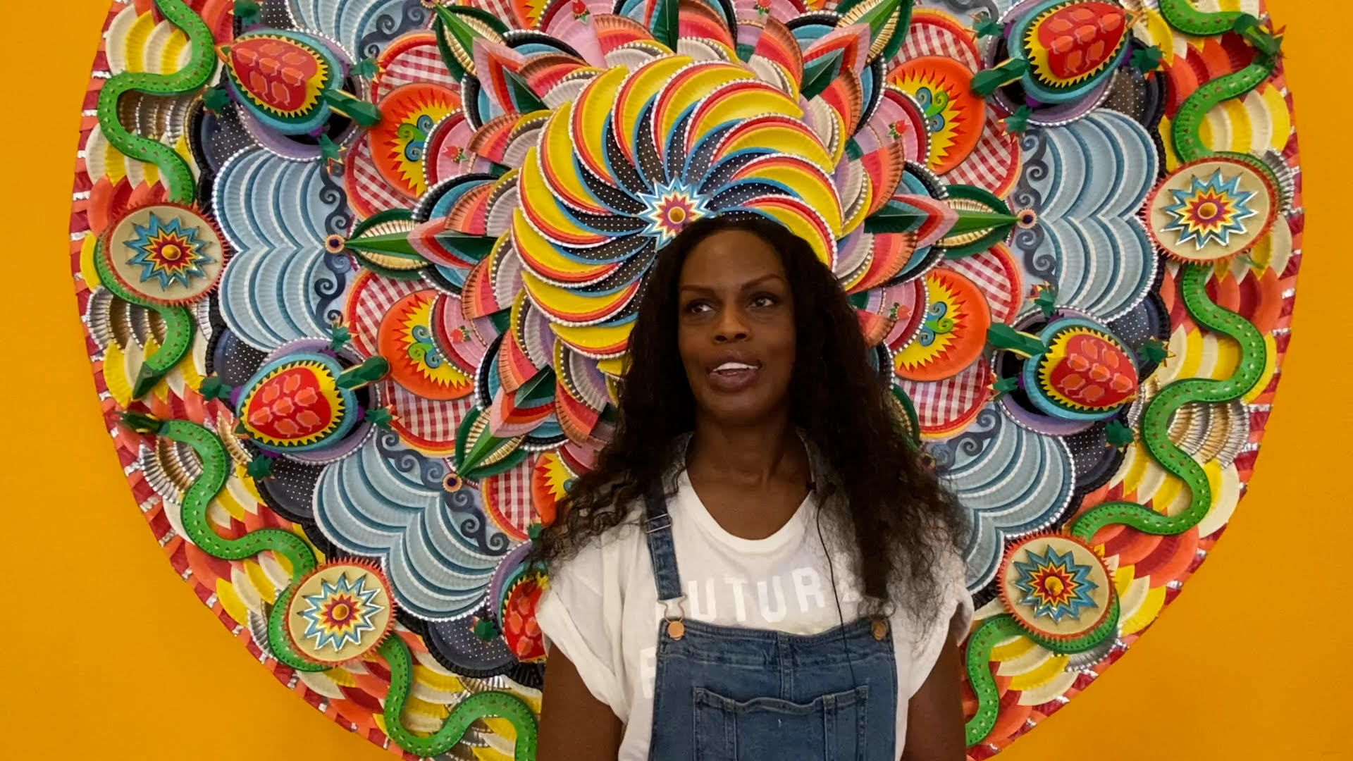 Connie Fleming Artist Interview : Never Apart